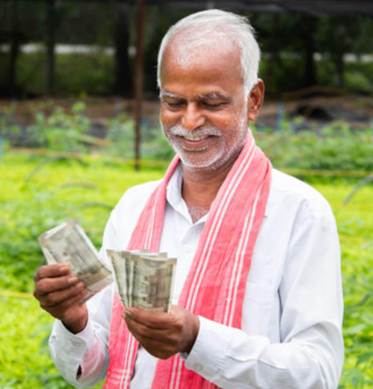 Schemes - CSP BANK MITRA